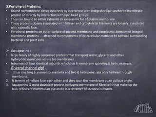 Plasma membrane proteins part 2 | PPT