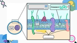 Plasma Membrane Review.pptx