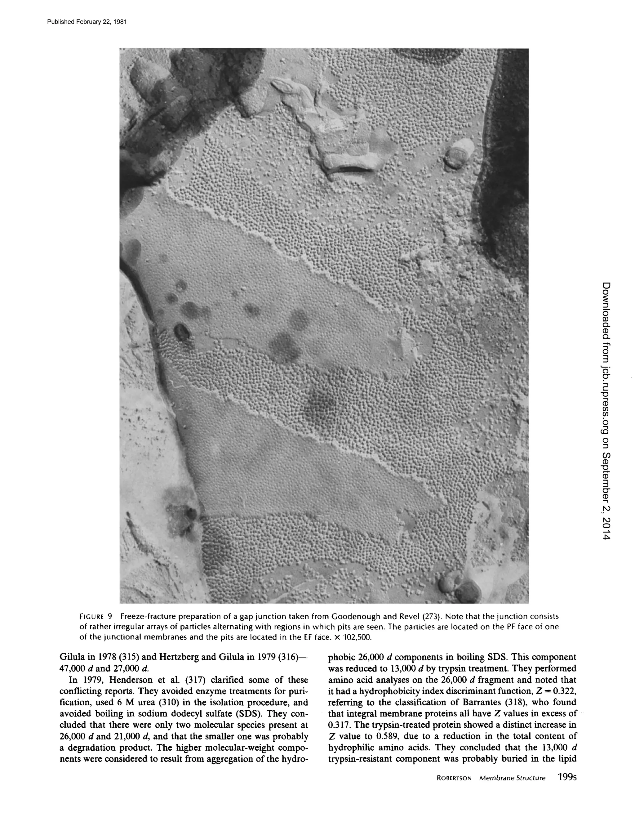 Plasma membrane robertson_jd[1] | PDF