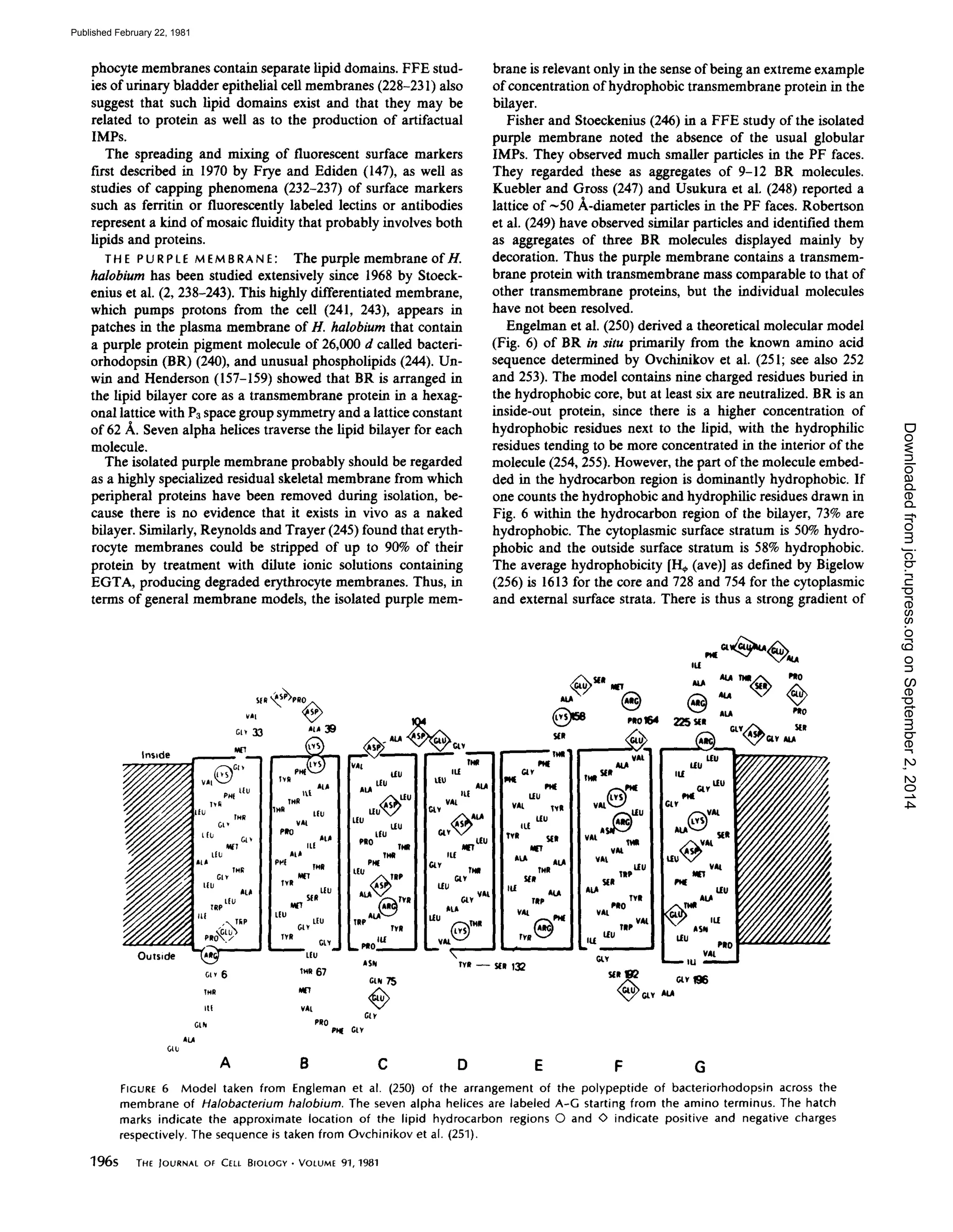 Plasma membrane robertson_jd[1] | PDF