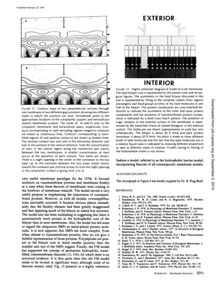 Plasma membrane robertson_jd[1] | PDF