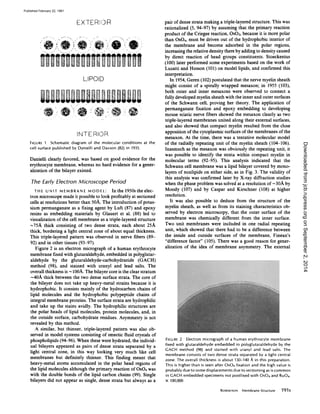 Plasma membrane robertson_jd[1] | PDF