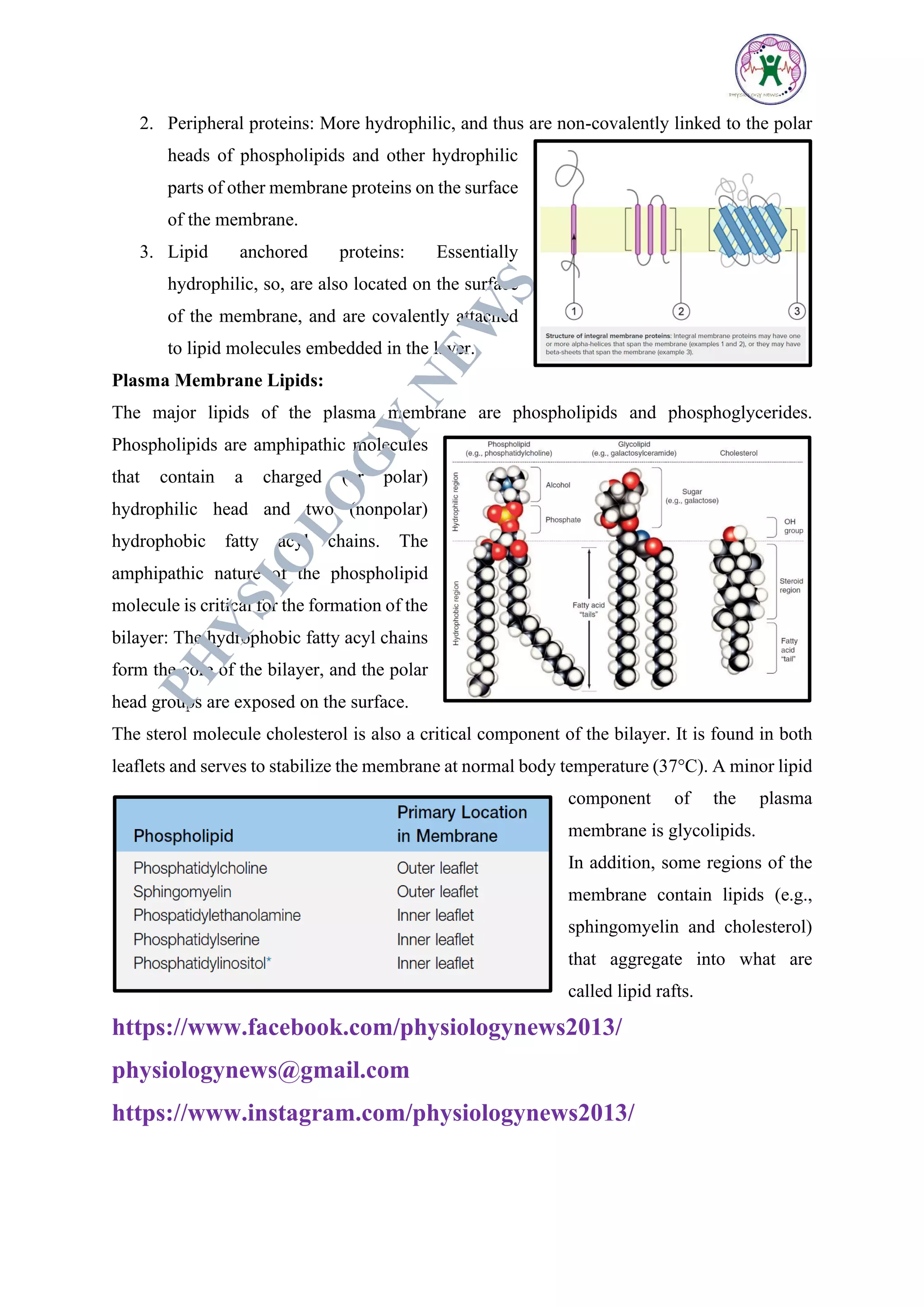 Plasma Membrane Structure- A Brief Description of Membrane Lipids ...