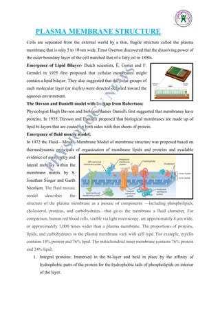 Plasma Membrane Structure- A Brief Description of Membrane Lipids ...