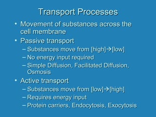 Plasma membrane, structure and function | PPT