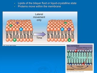 Plasma membrane structure and transport | PPTX