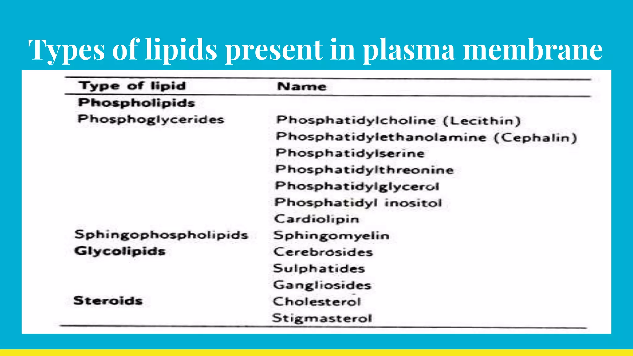 Plasma membrane structure & function | PPT