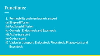 Plasma membrane structure & function | PPTX