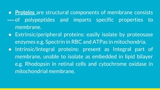 Plasma membrane structure & function | PPTX