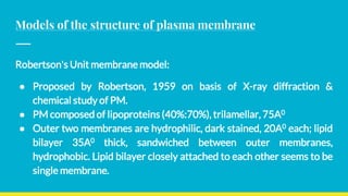 Plasma membrane structure & function | PPT