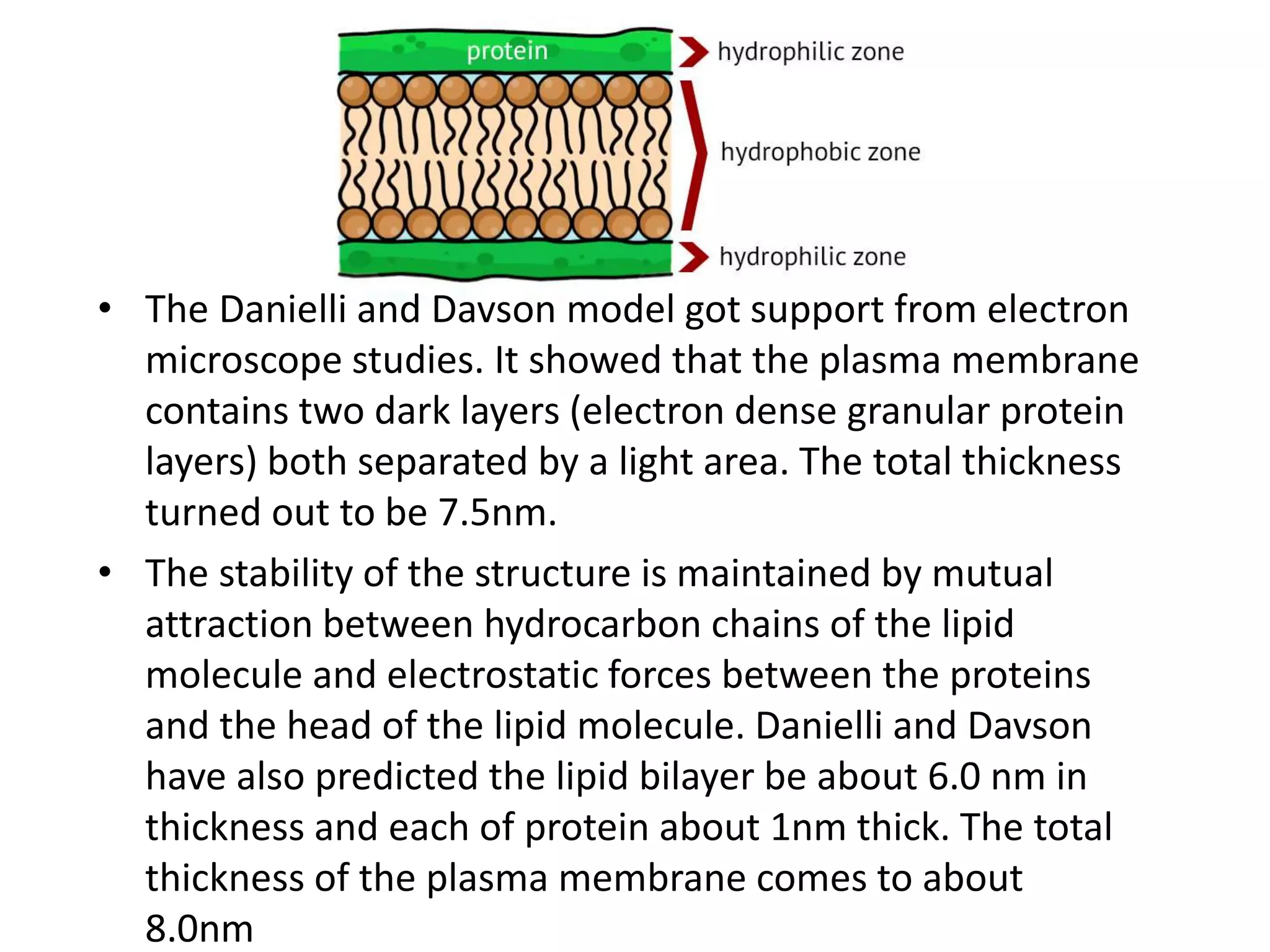 Plasma membrane : cell biology | PPTX