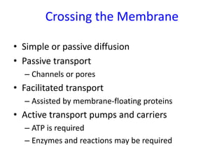 Plasma membrane : cell biology | PPTX
