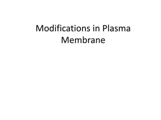 Plasma membrane : cell biology | PPTX