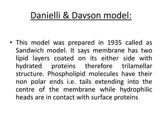 Plasma membrane : cell biology | PPTX
