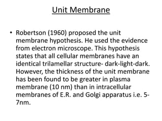 Plasma membrane : cell biology | PPTX