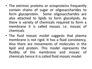 Plasma membrane : cell biology | PPTX