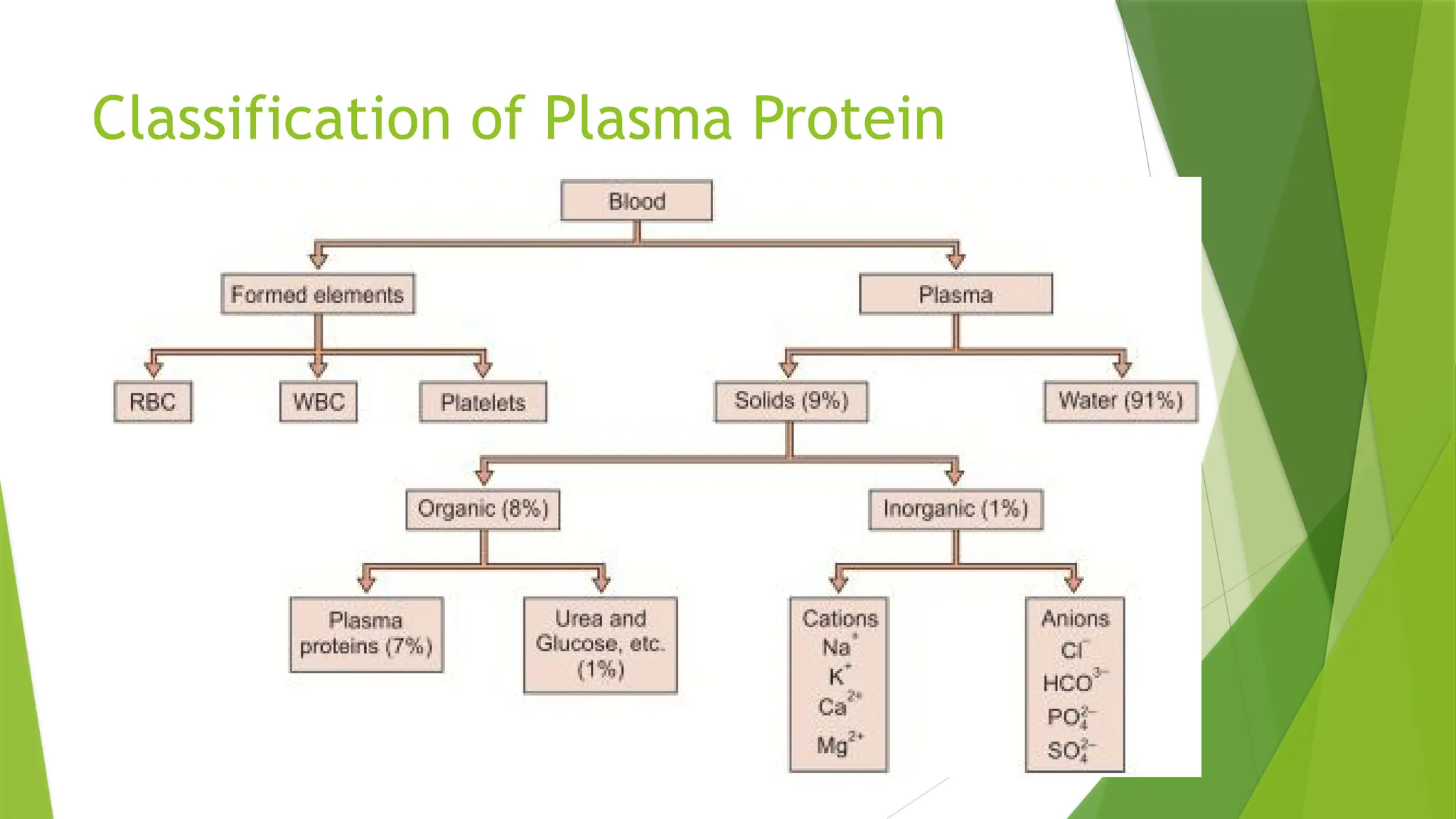 PLASMA PROTEIN AND ITS FUNCTION abhishek .pptx
