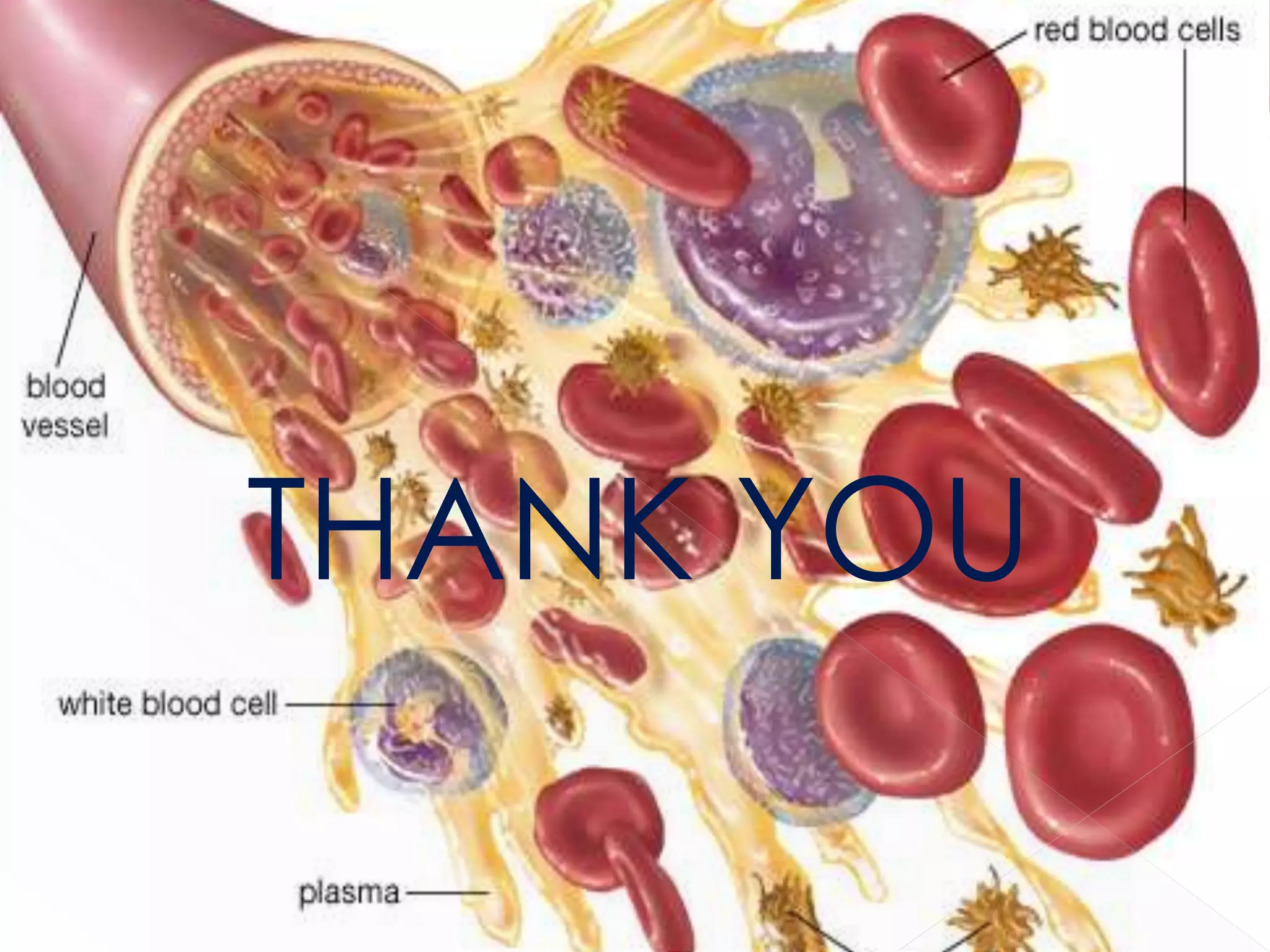 Plasma protein classification 1 albumin | PPT