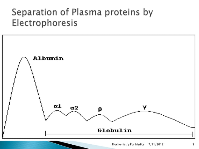 Plasma proteins | PPTX | Blood Disorders | Diseases and Conditions