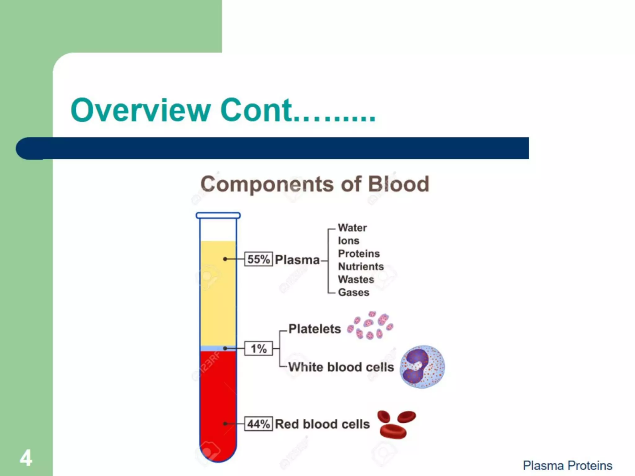 Plasma Proteins (Biochemistry) | PDF