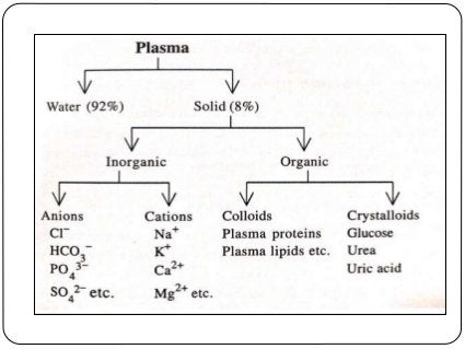 Plasma proteins.pptx
