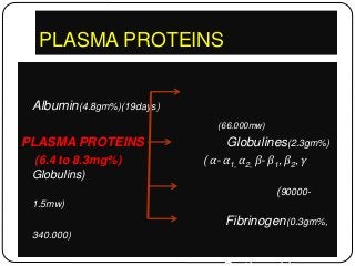 Plasma proteins.pptx
