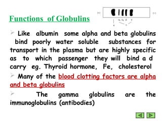 Plasma Proteins presentation for university | PPT