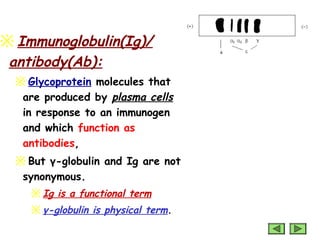 Plasma Proteins presentation for university | PPT