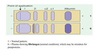 PLASMA PROTEINS, Plasma proteins are a diverse group of proteins found ...