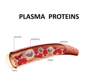 plasma proteins, classification and functions.pptx