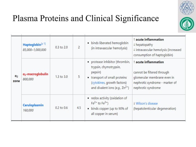 Plasma proteins and their functions for Nursing .pptx | Blood Disorders ...