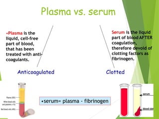 plasma proteins .pptx