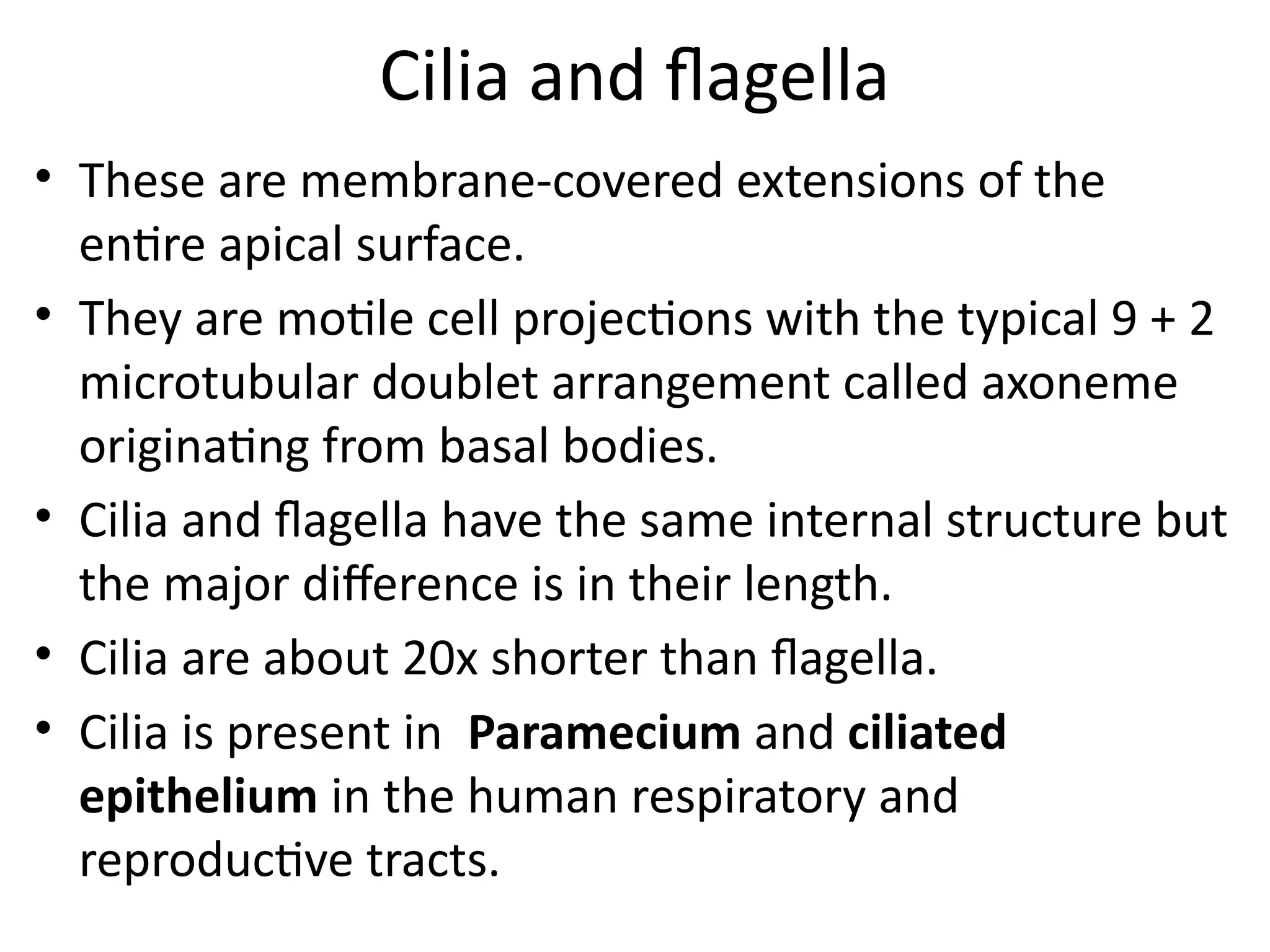 Modifications Of Plasma Membrane (Animal Cell) | PPTX