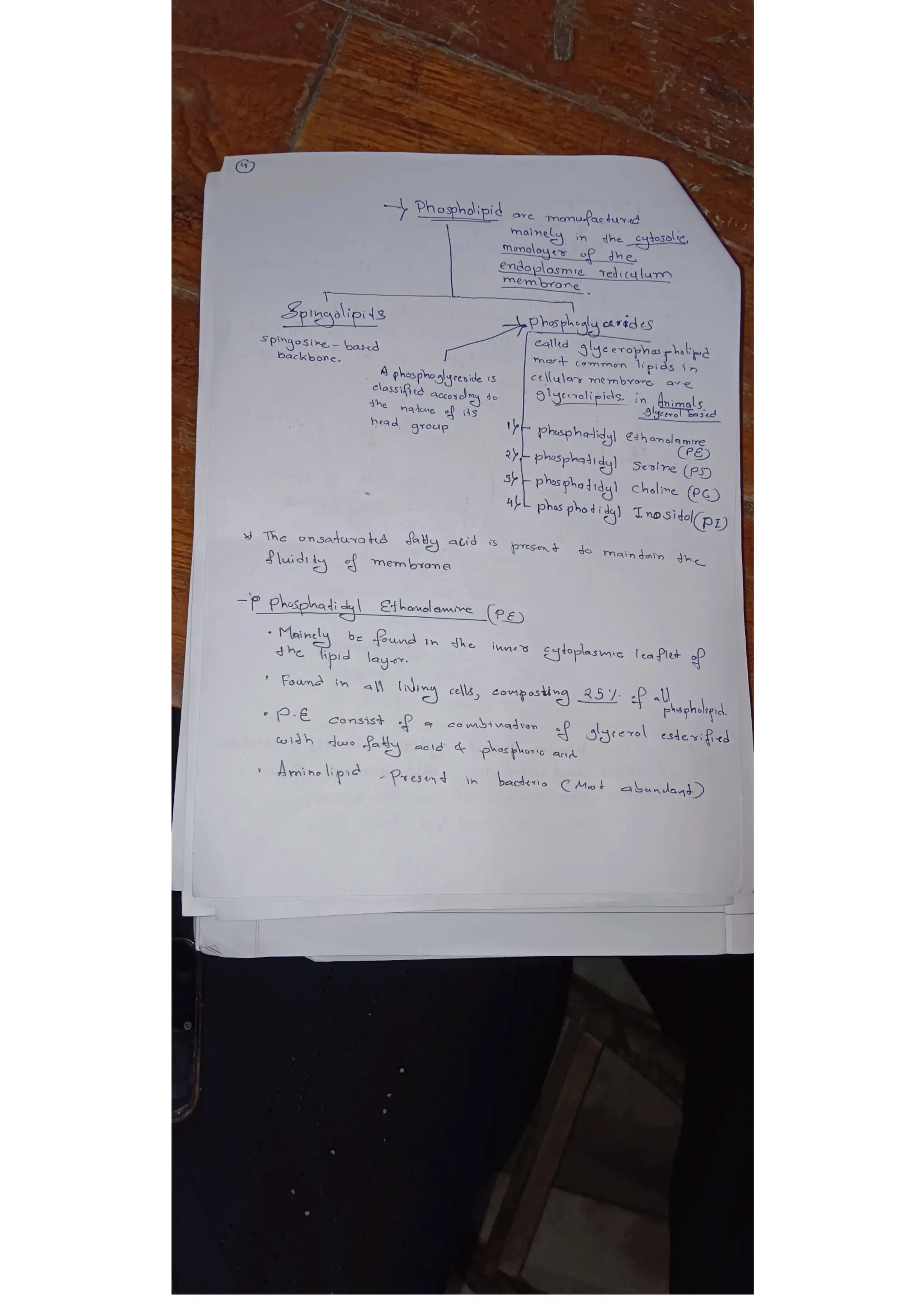 Plasma Membrane & its Composition Detailed Notes for B.Sc. & M.Sc ...