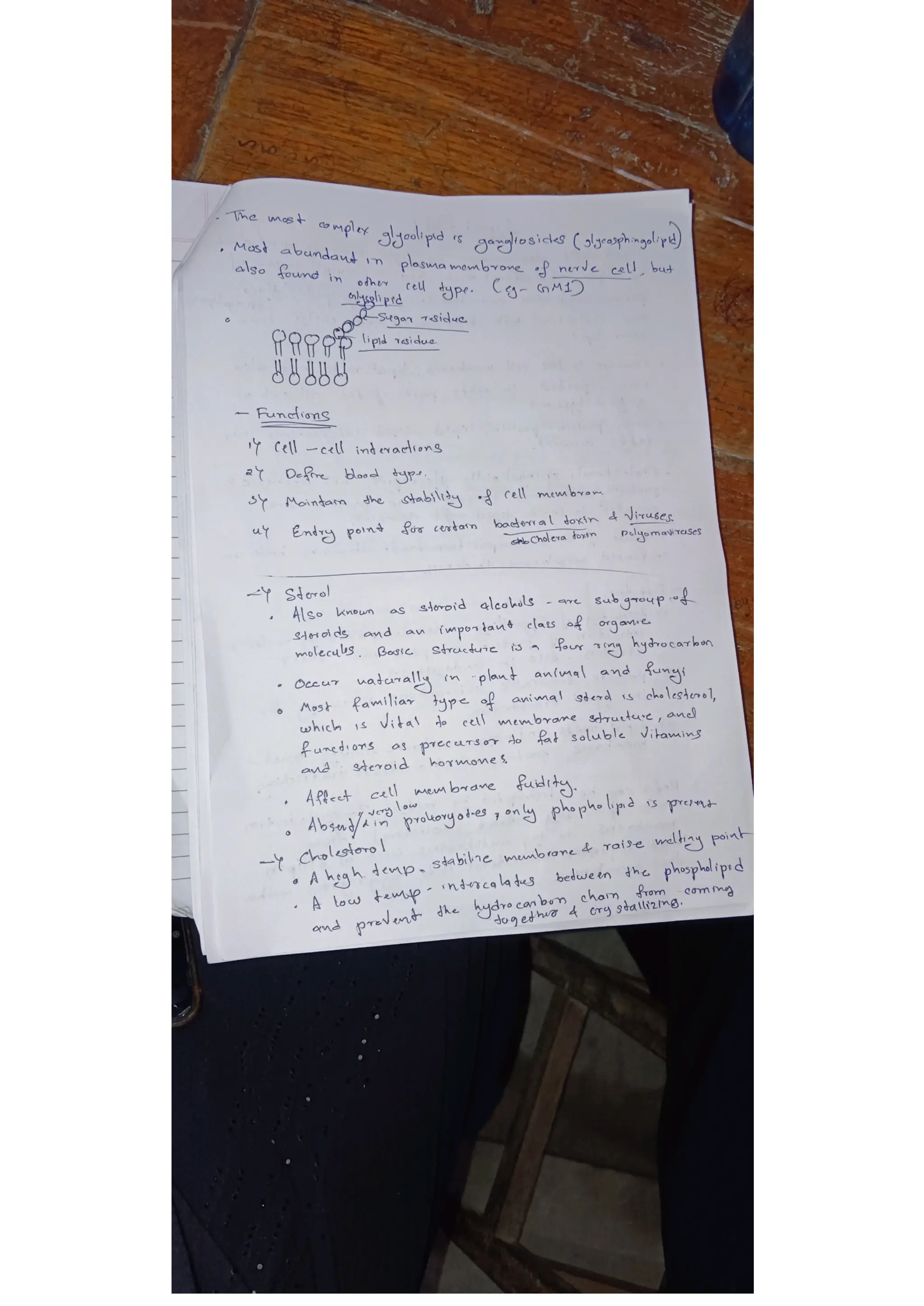 Plasma Membrane & its Composition Detailed Notes for B.Sc. & M.Sc ...