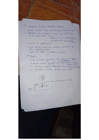 Plasma Membrane & its Composition Detailed Notes for B.Sc. & M.Sc ...
