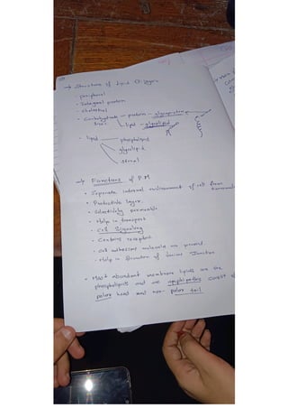 Plasma Membrane & its Composition Detailed Notes for B.Sc. & M.Sc ...