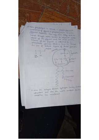 Plasma Membrane & its Composition Detailed Notes for B.Sc. & M.Sc ...