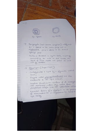 Plasma Membrane & its Composition Detailed Notes for B.Sc. & M.Sc ...