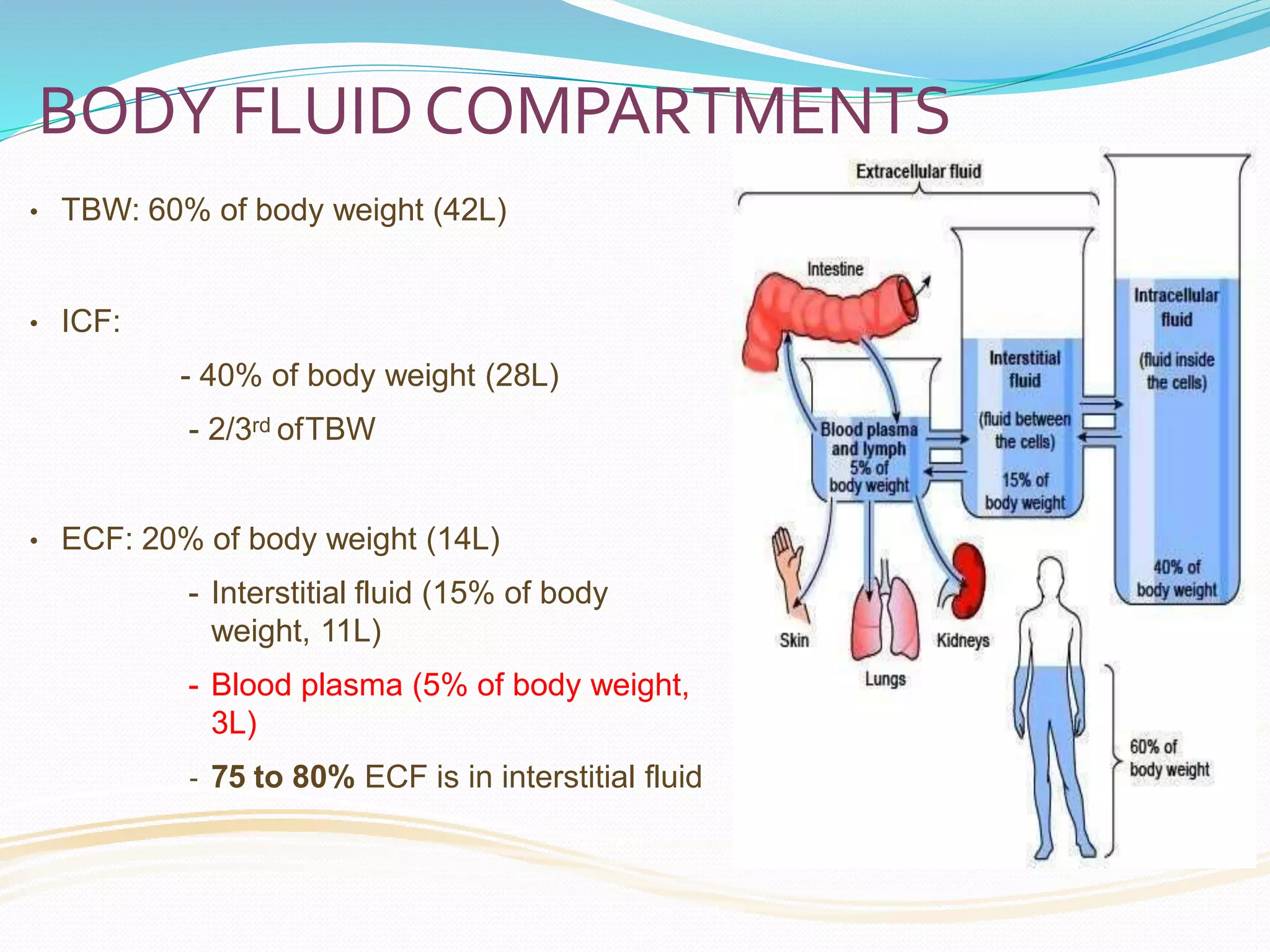 Plasma volume expanders | PPTX