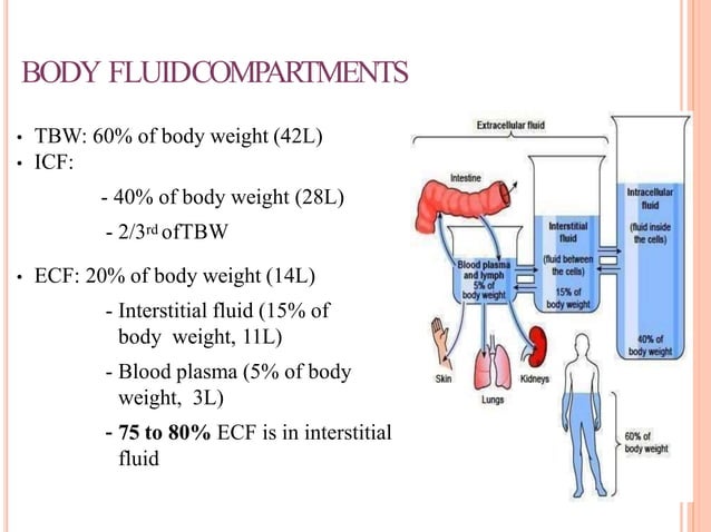 Plasma volume expanders | PPTX