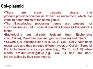 Plasmid | PPT