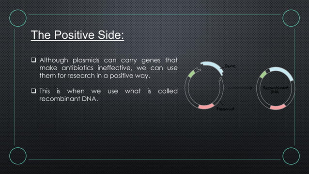 Plasmid | PPT
