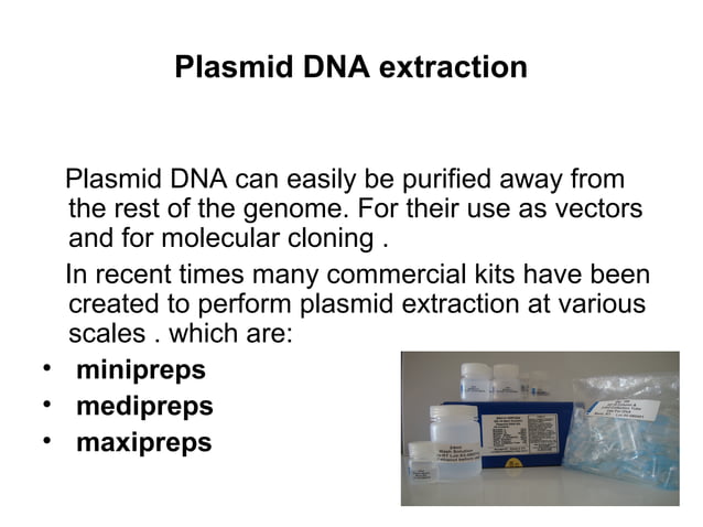 Plasmid | PPT | Biotech and Biomedical Industry | Industries