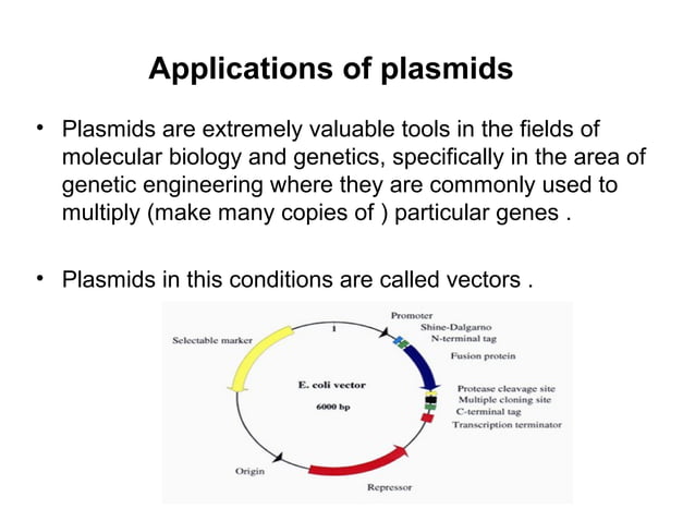 Plasmid | PPT | Biotech and Biomedical Industry | Industries