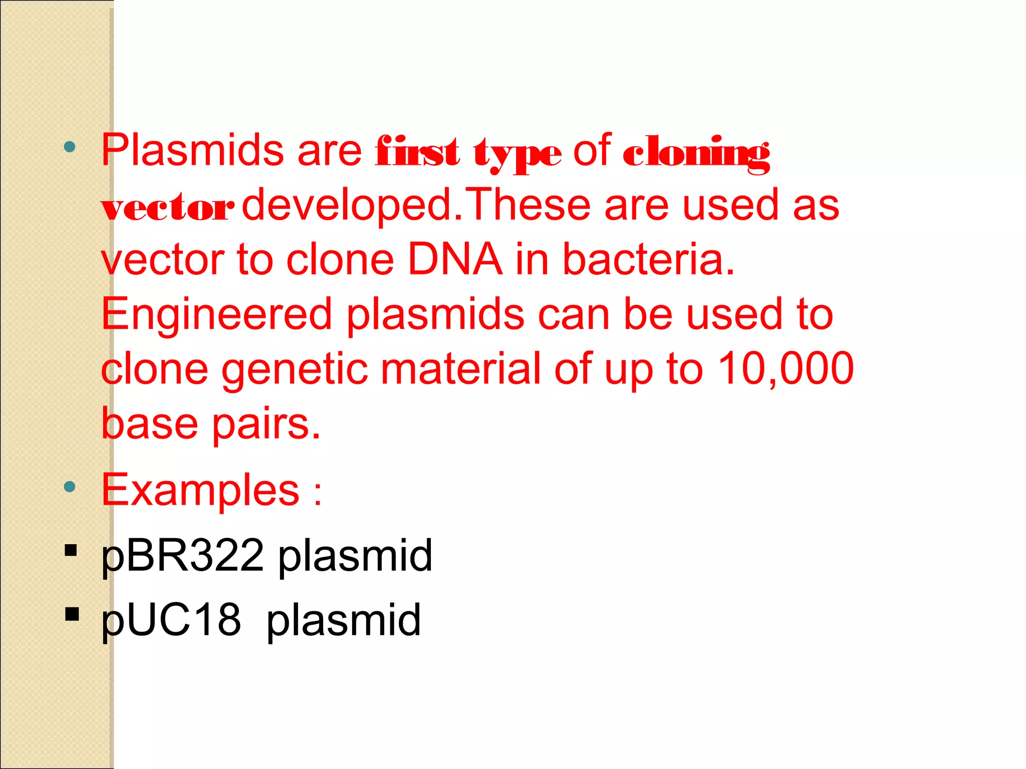 Plasmid | PPT