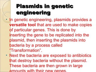 Plasmid | PPT