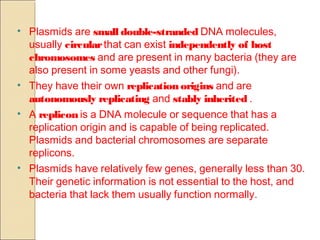 Plasmid | PPT