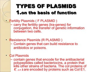 Plasmid | PPT