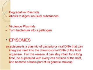Plasmid | PPT